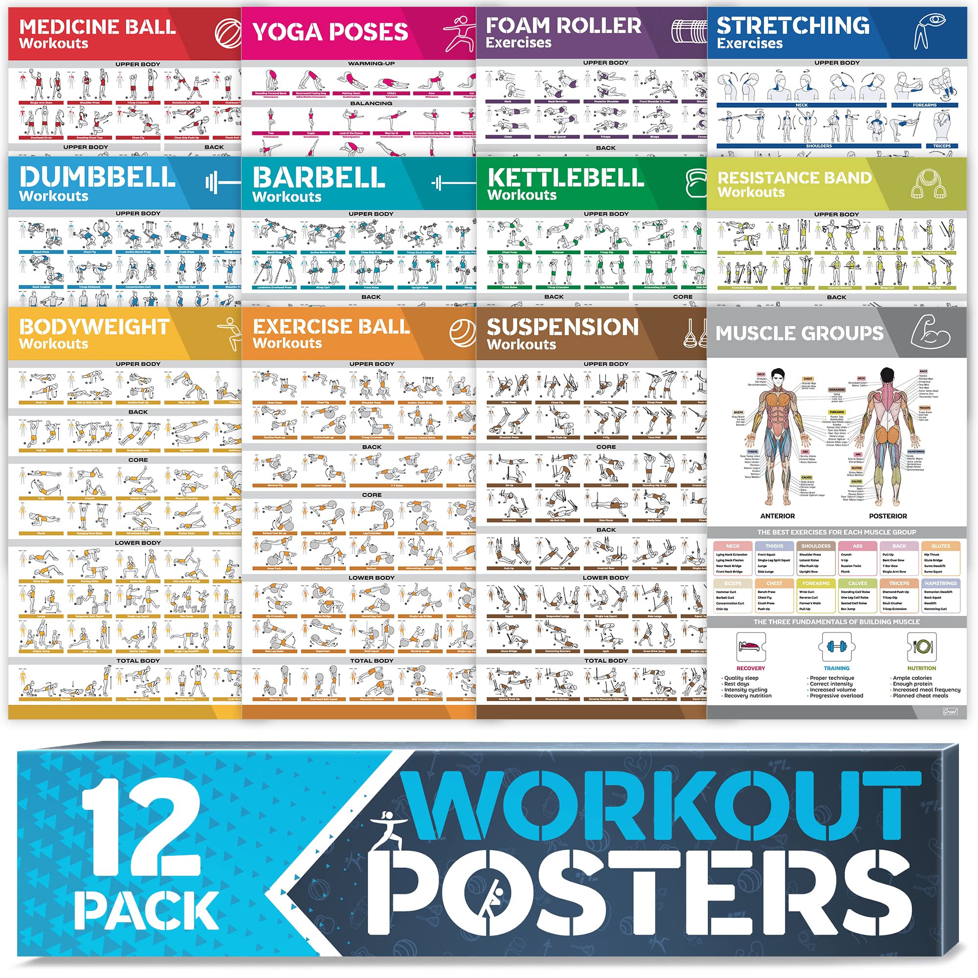 [12-PACK] Laminated Large Workout Poster Set - Perfect Workout Posters for Home Gym - Exercise Charts Incl. Dumbbell, Yoga Poses, Resistance Band, Kettlebell, Stretching & More Fitness Gym Posters