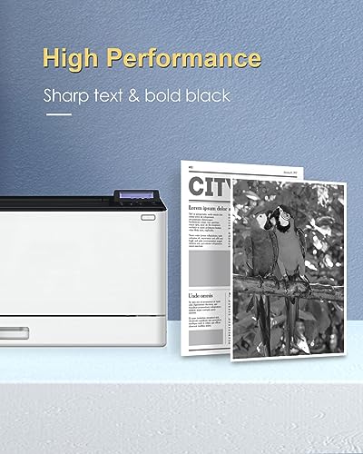 (with Chip) 069 Toner Cartridge Replacement for Canon 069 CRG069 CRG069 H CRG-069 H for imageCLASS MF753Cdw MF751Cdw LBP674Cdw Printer (Black 2 Pack)