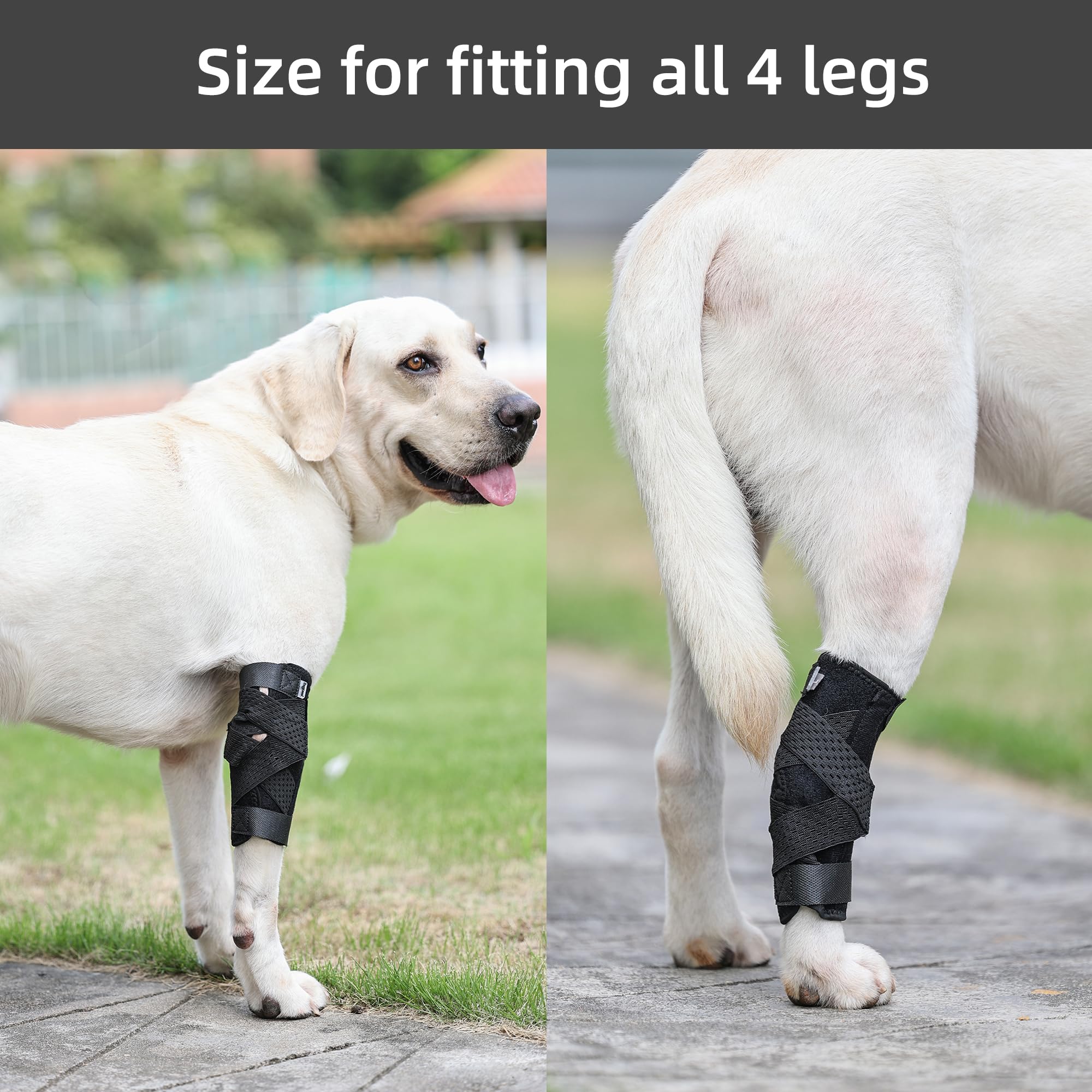 (S/M)(1Pair) Dog Leg Brace for Back Leg, Canine Hock Brace for Rear Legs with Dual Metal Strips, Joint Warps Support Help for Hind Leg Injuries Sprains Arthritis Torn ACL