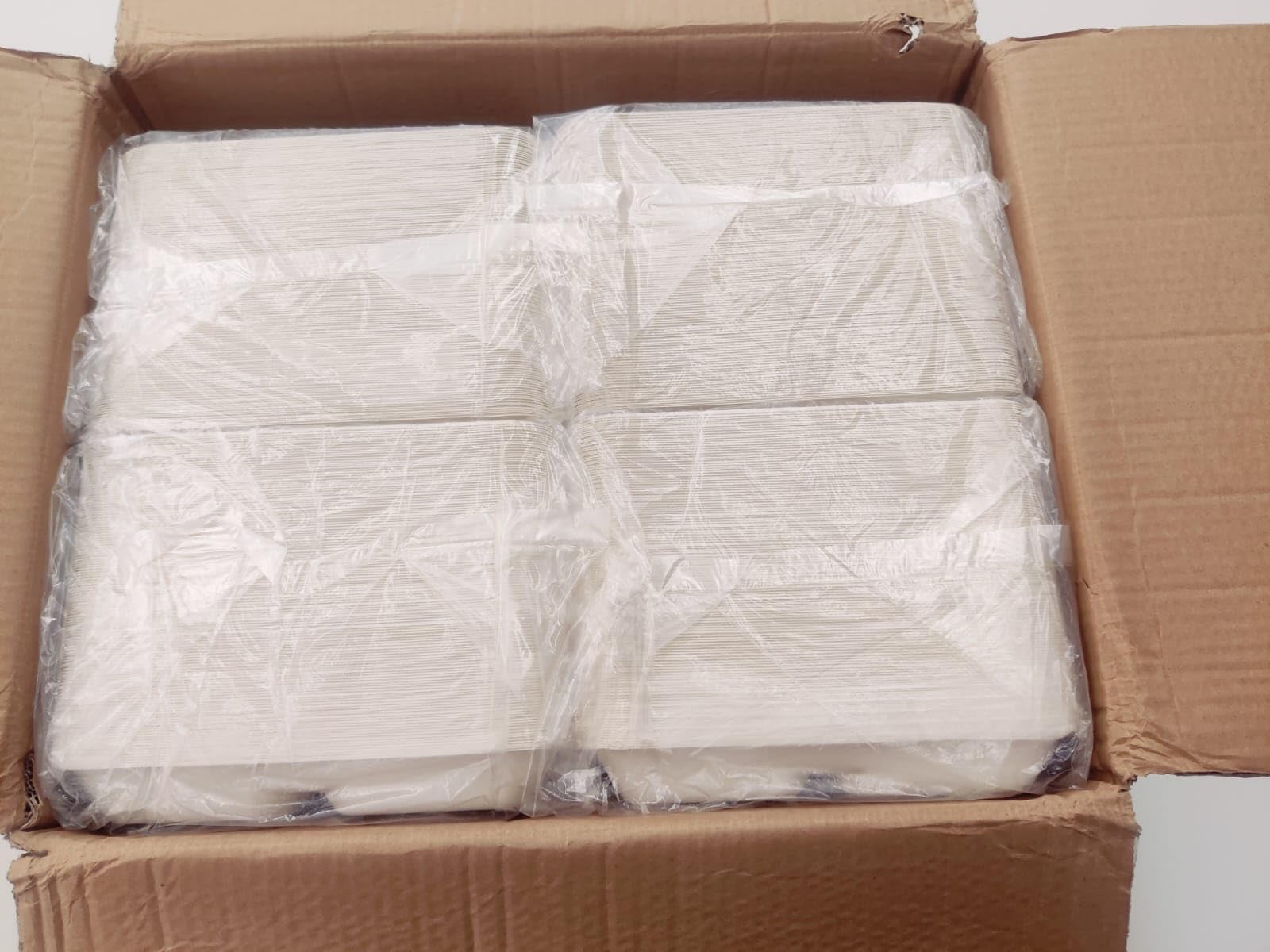 [500 Pack] 5 Compartment Trays, 100% Compostable Paper Plate tray, School Bagasse Lunch trays, Buffet, and Party, Disposable trays with 5 compartment, Biodegradable, Natural (4821011)