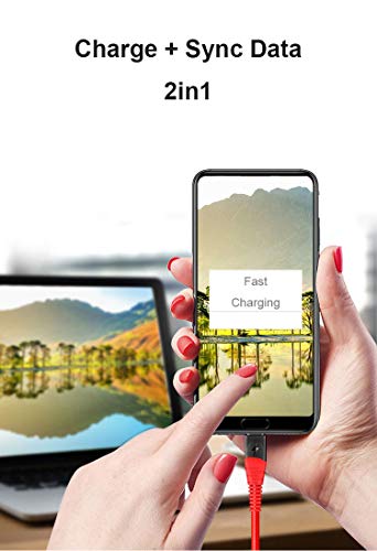 [2 Pack] Charge/Sync Cable, iFlash1 Foot Charging Cable Fast Charging & Sync Charger Apple iPhone Xs/XS Max/XR/X / 8/8 Plus / 7/7 Plus / 6S/6 Plus/SE/ 5S, iPad Pro Air Mini 1/2/3/4, iPod Touch 5/6
