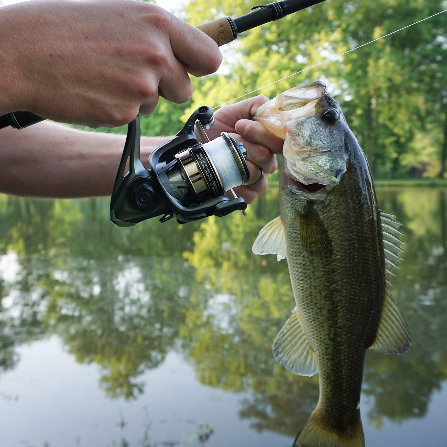 [2024 Silky] Cadence Ideal Spinning Reel, Super Smooth Fishing Reel with 10 + 1 BB for Freshwater, Durable and Powerful Reel with 30LBs Max Drag & 6.2:1, Great Value& Tuned Performance Gift for Man