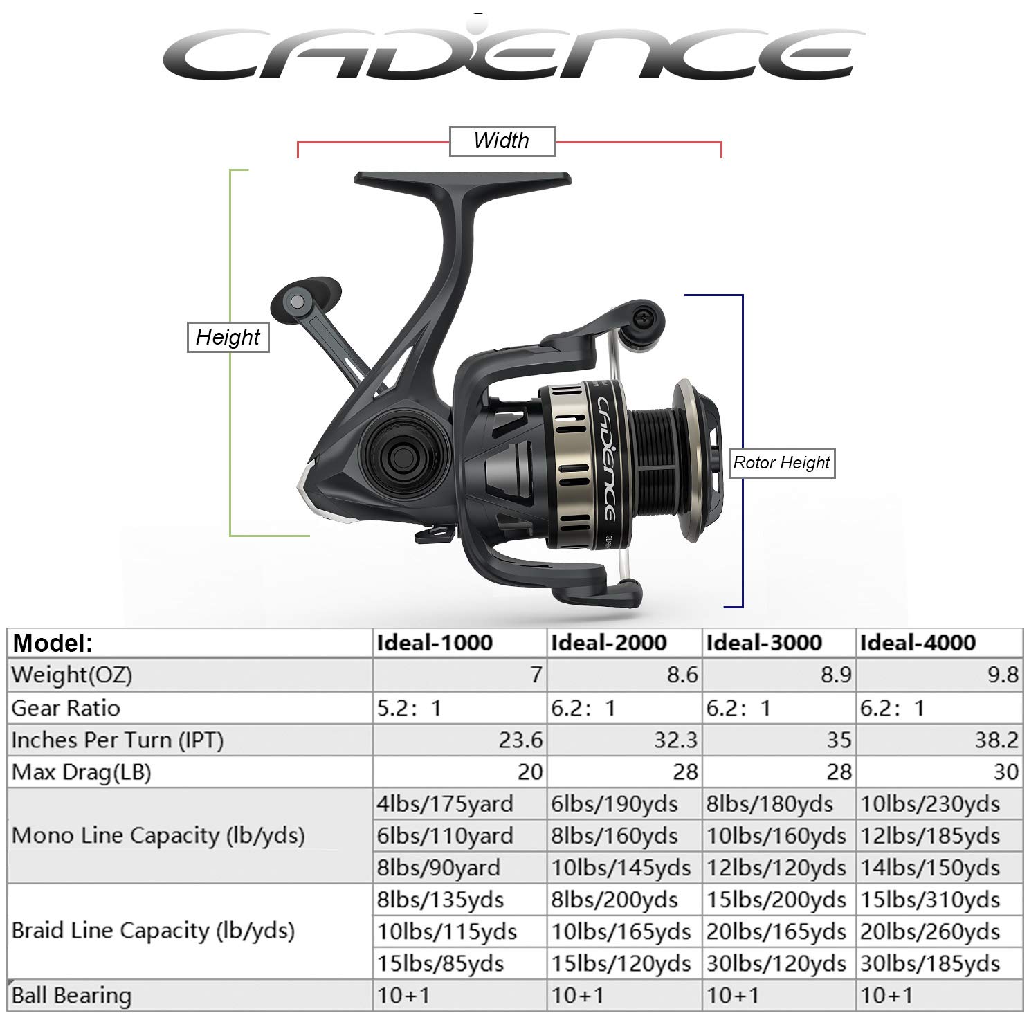 [2024 Silky] Cadence Ideal Spinning Reel, Super Smooth Fishing Reel with 10 + 1 BB for Freshwater, Durable and Powerful Reel with 30LBs Max Drag & 6.2:1, Great Value& Tuned Performance Gift for Man