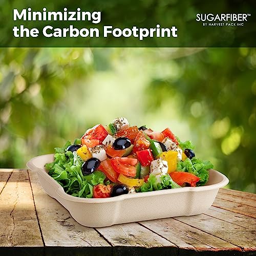 [500 COUNT]Harvest Pack 8" x 8" Compostable Disposable Food Trays, Eco-Friendly Square Serving Container Made From Plant Fibers Meal Prep Takeout Dinnerware Plates Catering