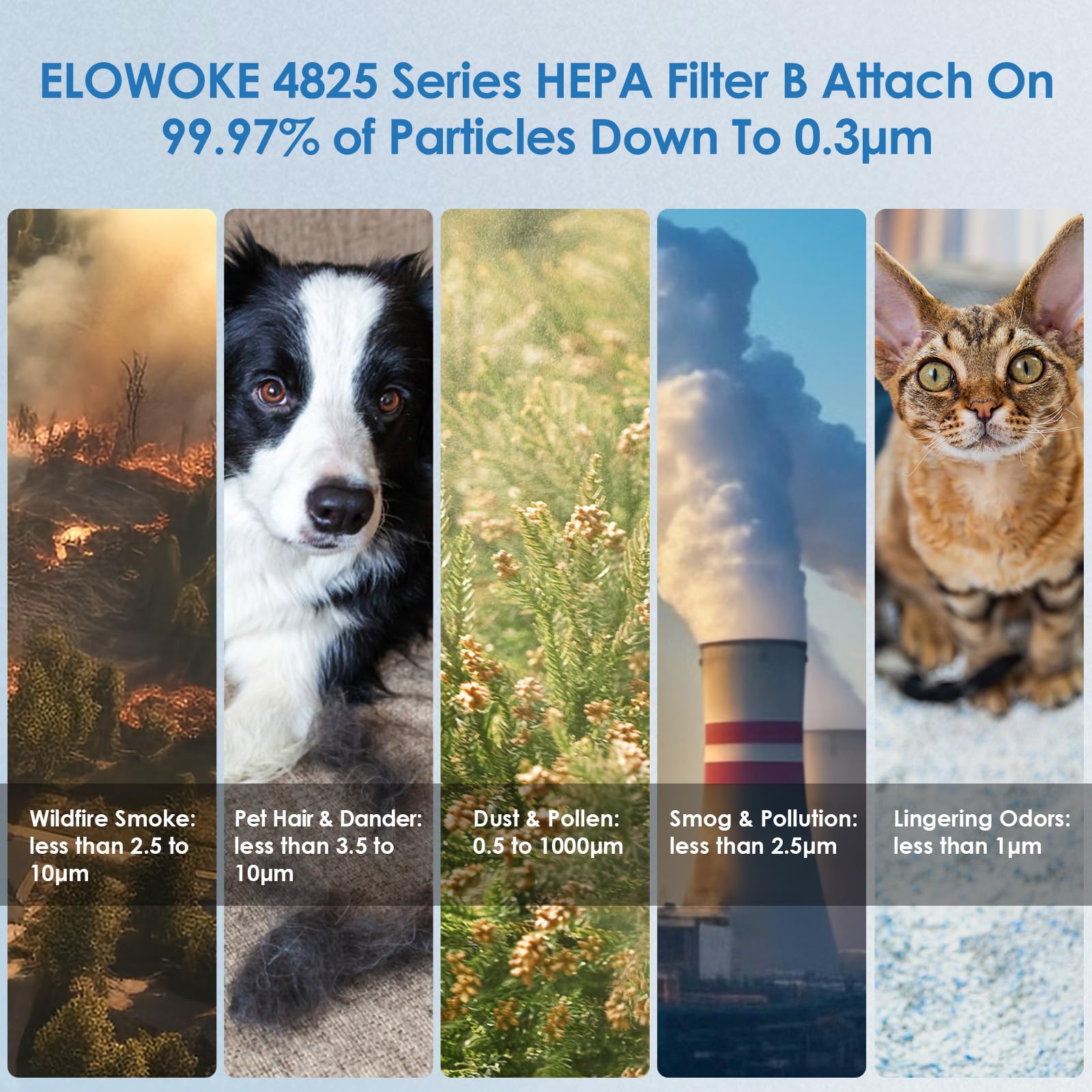 [ELOWOKE] 2-Pack 4825 HEPA Filter B Compatible with Gɜːrm-Guardian Air Purifier Filter Replacement for Model FLT4825 AC4825 AC4300 and more, 2X H13 HEPA Filters & 8X Actɪvated Carbon Pre-Filter