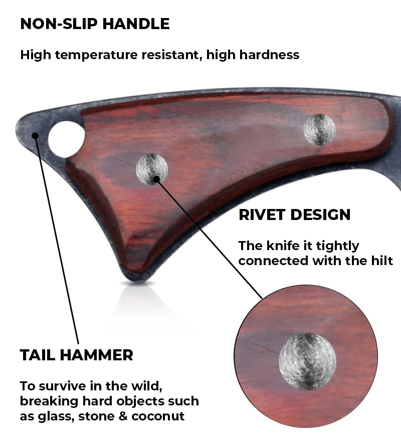 [4 Knives Set] for Outdoor, Survival, Hunting & Camping from Hard Steel fixed Blades, Wooden Handle, Full Tang + 4 Sheaths