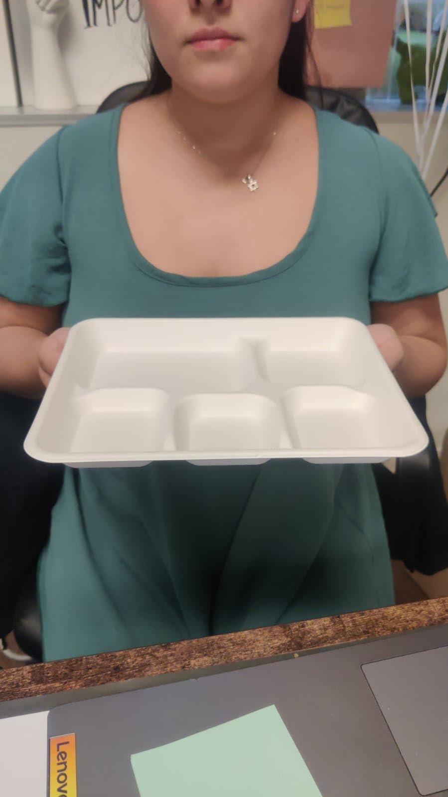[500 Pack] 5 Compartment Trays, 100% Compostable Paper Plate tray, School Bagasse Lunch trays, Buffet, and Party, Disposable trays with 5 compartment, Biodegradable, Natural (4821011)