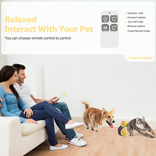 【2023 Newest】Interactive Dog Toy Ball with Remote Control and LED Flash Light, Rechargeable Wicked Ball Made of Durable Safe TPU, Motion Activated Rolling Ball Toys for Dogs/Cats with 2 Work Modes