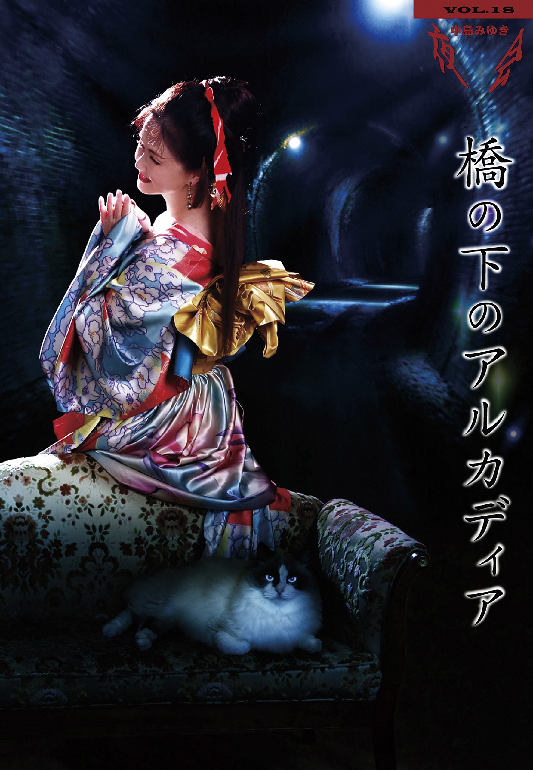 【メーカー特典あり】夜会VOL.18「橋の下のアルカディア」(外付け特典:オリジナル・マスクケース) [Blu-ray]