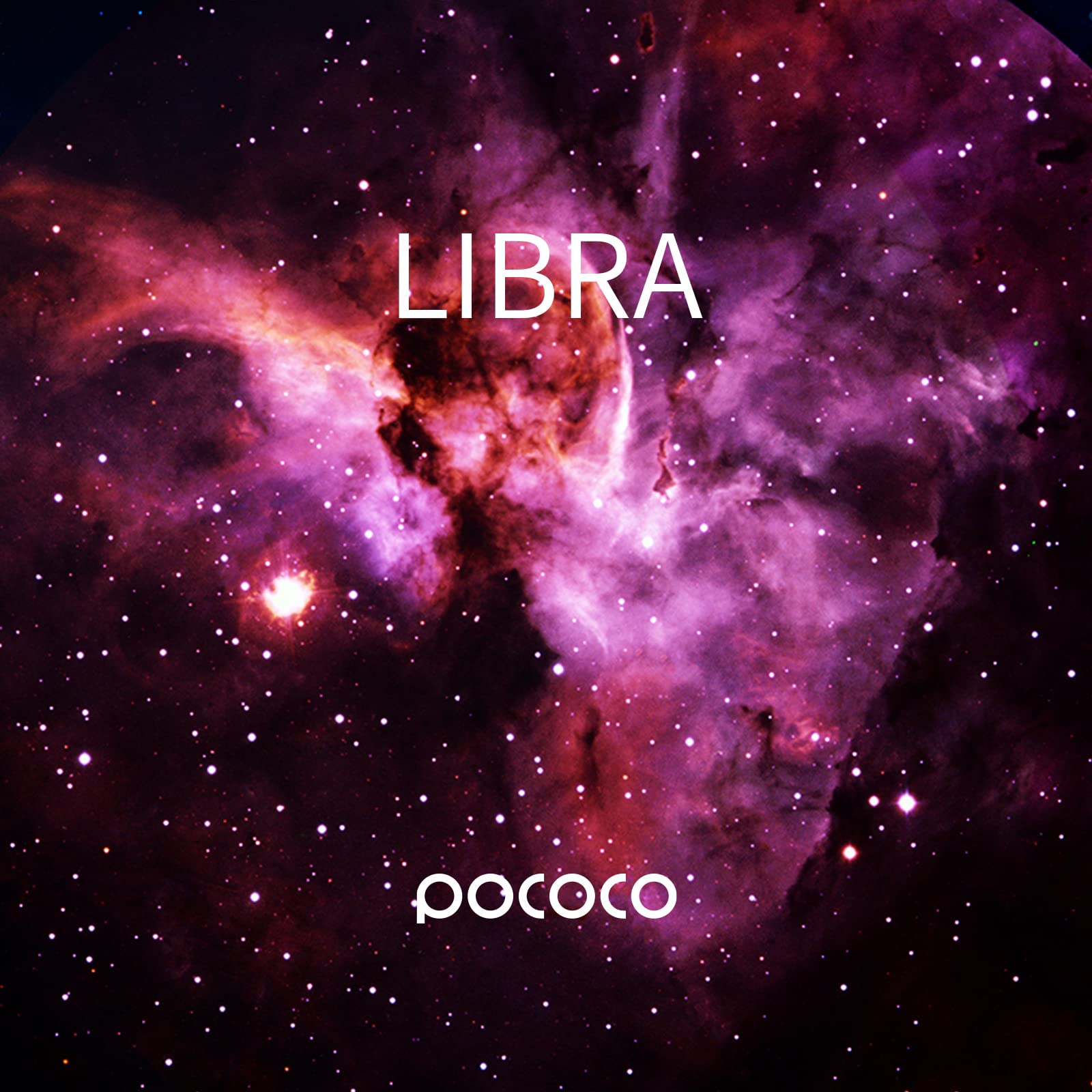 【Limited Time Offer: 16% Off 】POCOCO Galaxy Projector + Realistic Constellation-1 - Discs (6 Pieces)