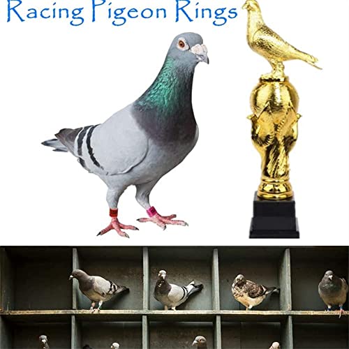 100Pcs Pigeon Ring/Dove Rings Multicolor Aluminium Pigeon Leg Rings Dove Leg Rings Identify Bands Plastic with 2023 AU Training Identify Birds Foot Ring, Quality Durable