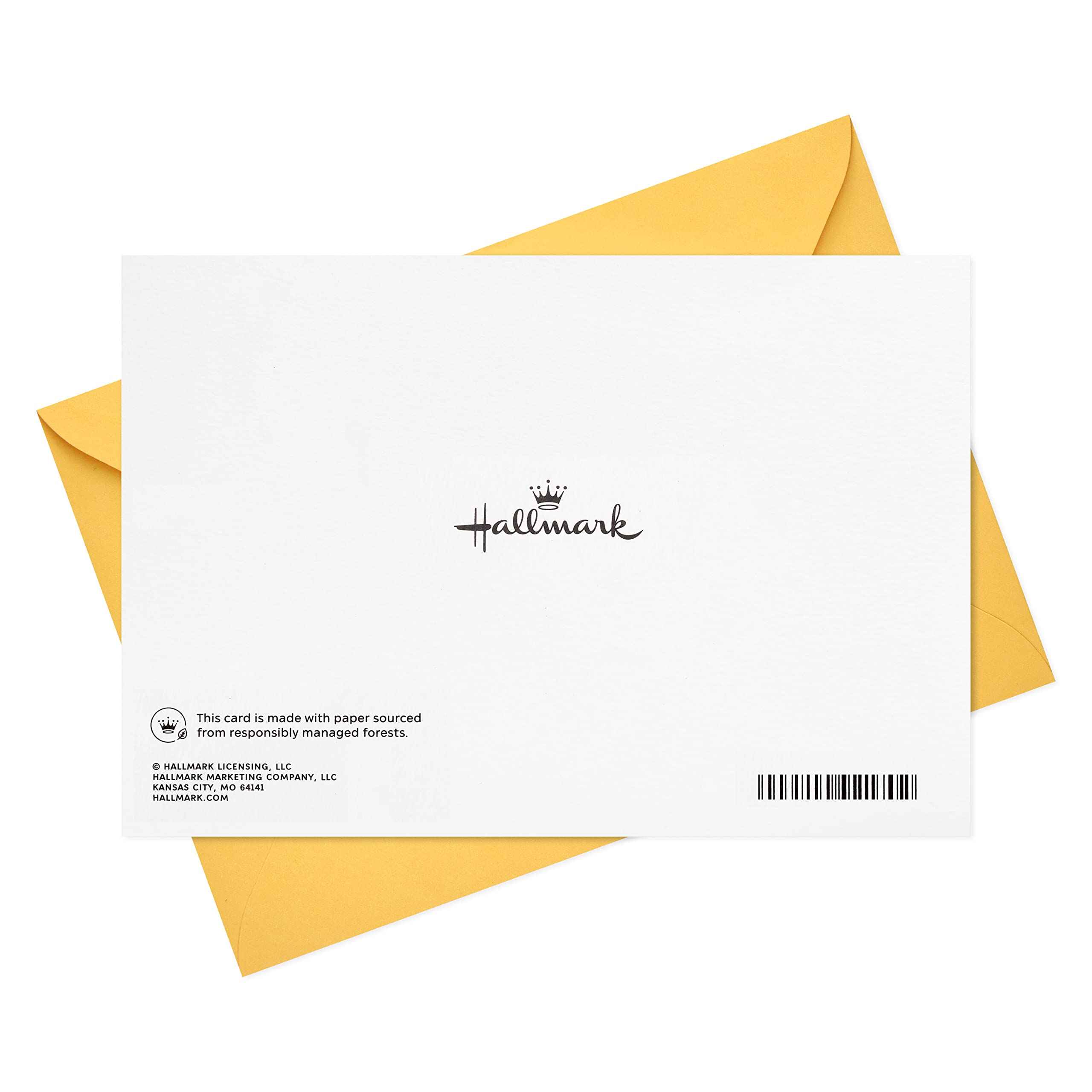Hallmark 50th Birthday Card (Here's to Fifty)