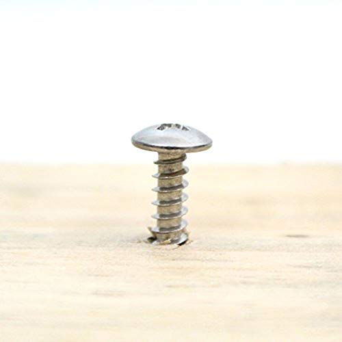 #6 x 5/8" Stainless Truss Head Phillips Wood Screw (100pc) 18-8 (304) Stainless Steel Screws by Bolt Dropper, ssd Screws