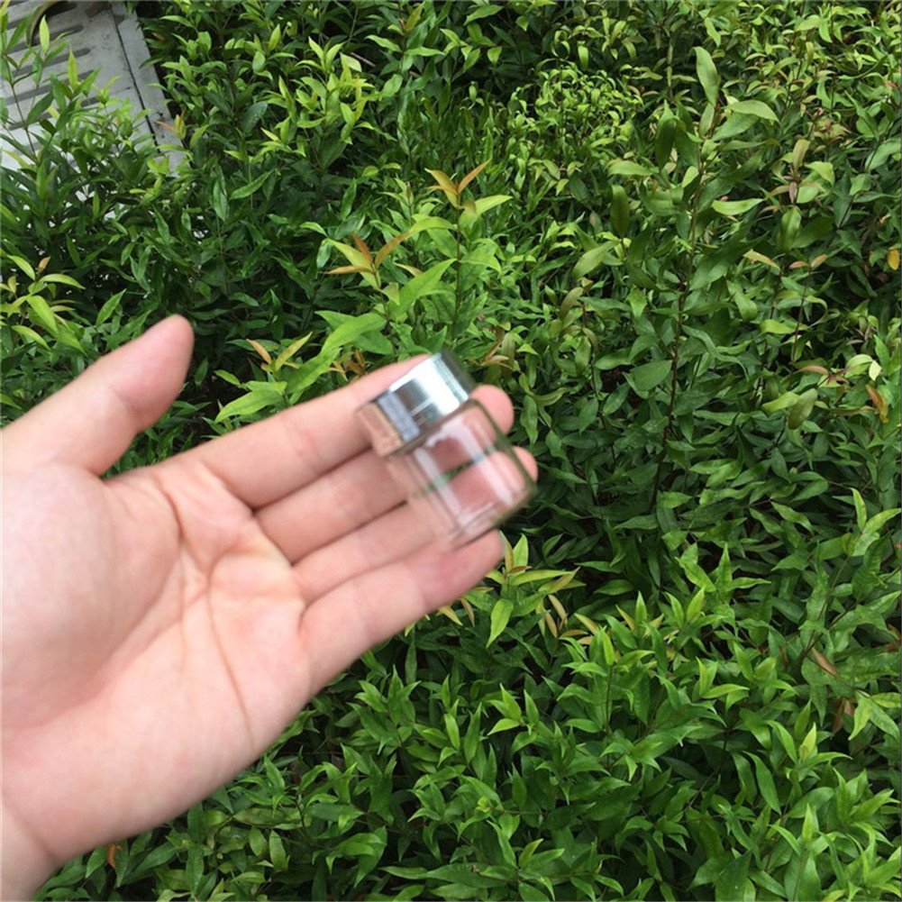 12units Glass Bottles Screw Top Empty Jars Vial 15ml Candy Vanilla Pill Food Perfume Bottle Metal Cap (12, 15ML-Silver Lid)