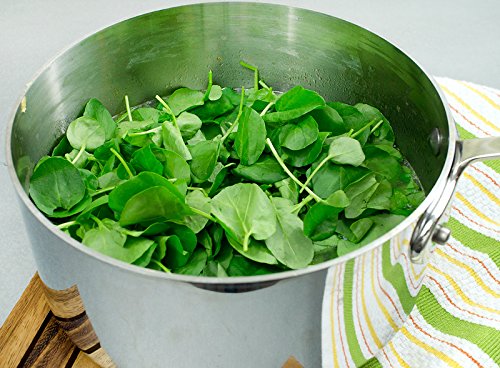 200+ Watercress Seeds Heirloom Non-GMO Delicious Superfood! Easy to Grow! from USA
