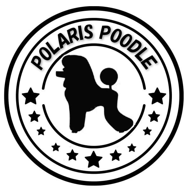★POLARIS★ Food Picks & Food Balun for Lunch Box (Dinosaurs)