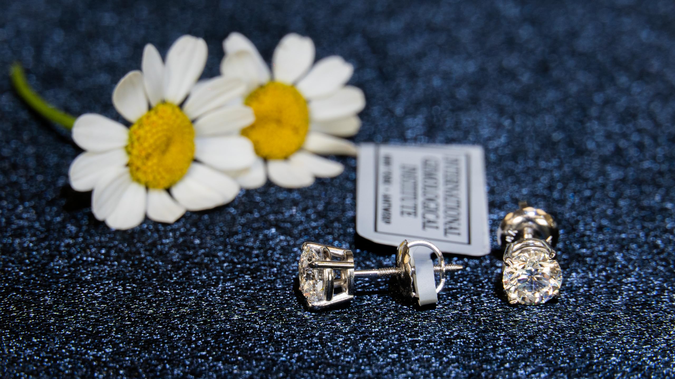 0.33 Carat Lab Grown Diamond Stud Earrings for Women I 14k White Gold Earrings for Her (2/4 cttw, D-E, VS1-VS2) 4-Prong Basket, Secure Screw Back Made in USA by Beverly Hills Jewelers