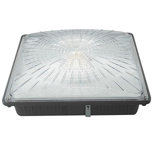1000LED 4 Pack LED Canopy Light, 65W 8,000Lm 300W HID/HPS Equal, 10" x 10", LED Shop Light, 5000K, AC100-277V, Waterproof IP65, Gas Station Canopy Light