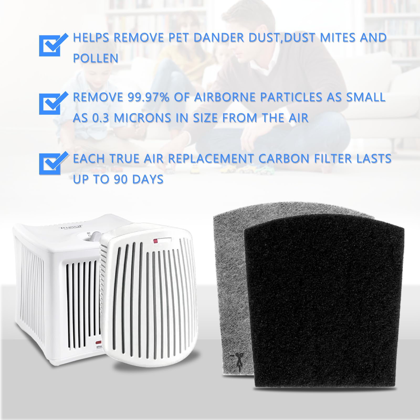 04530GM Filter Compatible with Hamilton Beach with True Air Odors 04530F 04251 04271 04530 04530F 04294 04531GM 04532GM 04234G Carbon Filters(3Pcs)