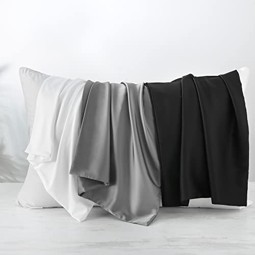 100% Mulberry Silk Pillowcase for Hair and Skin, Dafinner Standard Size Pillow Case 2 Pack with Hidden Zipper, 20x26, White