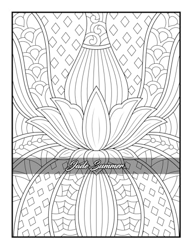 100 Amazing Patterns: An Adult Coloring Book with Fun, Easy, and Relaxing Coloring Pages