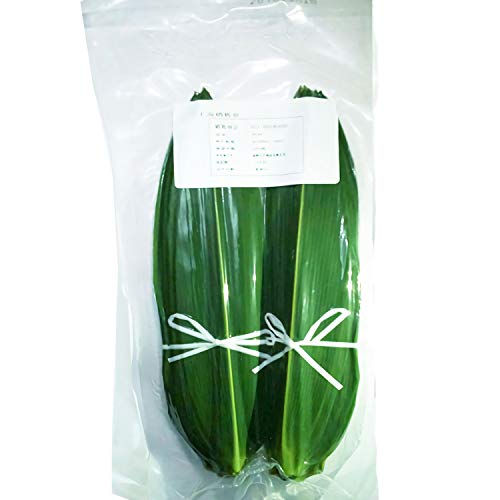 100 pcs Sushi Bamboo Leaf - Banana Leaves Make Zongzi Kit Plate Decorations Holiday Party for cooking (100 pcs, 12" L x 3.2" W) - Leaves Remains Vaccuum and Fresh