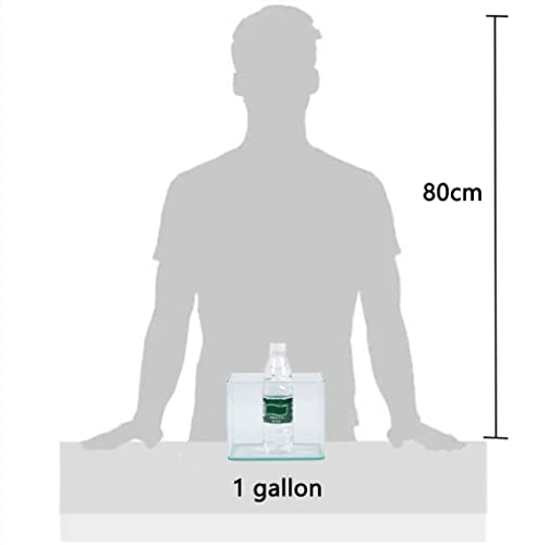 1 Gallon Aquarium Fish Tank,Rimless Aquarium Tank,7.8" L × 6.3" H × 5.5" W
