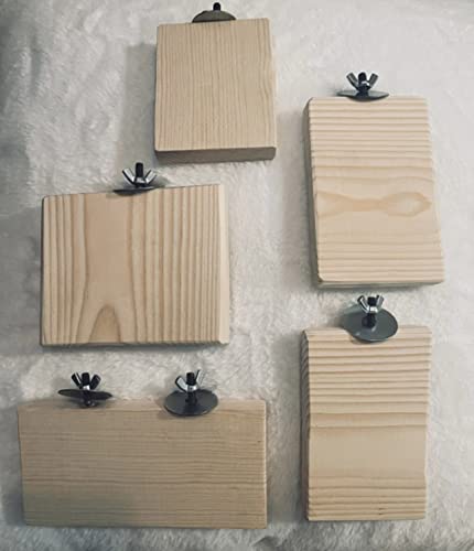 10 Piece Kiln Dried Pine Wood Ledges, Platfrom, Steps for Chinchillas, Rats, Birds and Caged Critters. Chinchilla Cage Accessories.