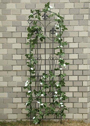 1. GO Metal Garden Trellis Panel Arch for Climbing Plants, 16" Wide x 60" High, OG-0033KD