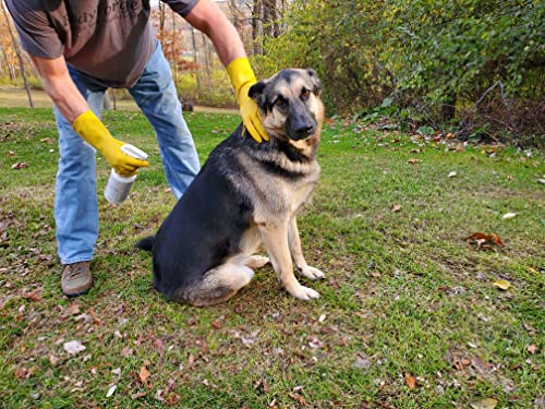 $averPak InsectGuard Permethrin Mosquitoes, Ticks and Flies Repellent & Insecticide Spray for Dog Horse Blanket Bed Kennal Stabels & More - Quart (32oz)