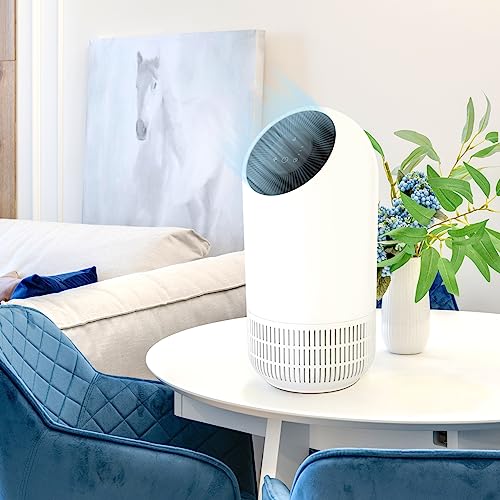 2-Pack Fillo|Halo|Allo True HEPA Replacement Filter Compatible with Afloia Fillo, Afloia Halo, Mooka Allo Air Purifier, 3-in-1 H13 True HEPA Filtration