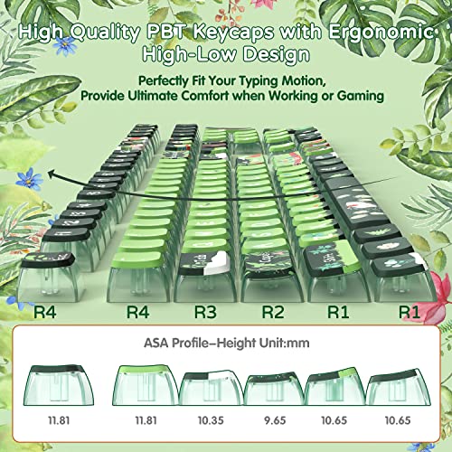 120 Key PBT Pudding Keycap Set ASA Profile with Transluscent PC Layer Dye-Sub Jungle Theme for 61/68/84/98/100/104Key TKL Cherry MX Gateron Kailh Cross Type Switch ANSI Mechanical Keyboard DIY(Green)