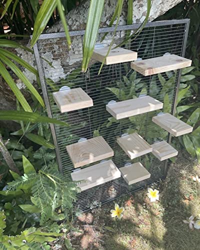 10 Piece Kiln Dried Pine Wood Ledges, Platfrom, Steps for Chinchillas, Rats, Birds and Caged Critters. Chinchilla Cage Accessories.