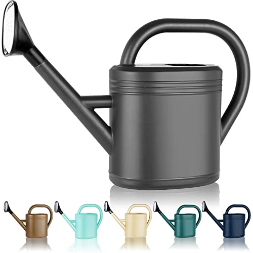 1 Gallon Watering Can for Indoor Plants, Garden Watering Cans Outdoor Plant House Flower, Large Long Spout with Sprinkler Head