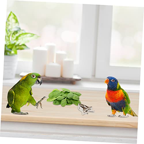10 pcs Birds Fixed Stainless Holders- Clip Treat Accessories Steel Fork Small Animal Silver Parrot Holder Cockatoo Cuttlebone Budgie Holding Fruit Clips Bird Parakeet Metal