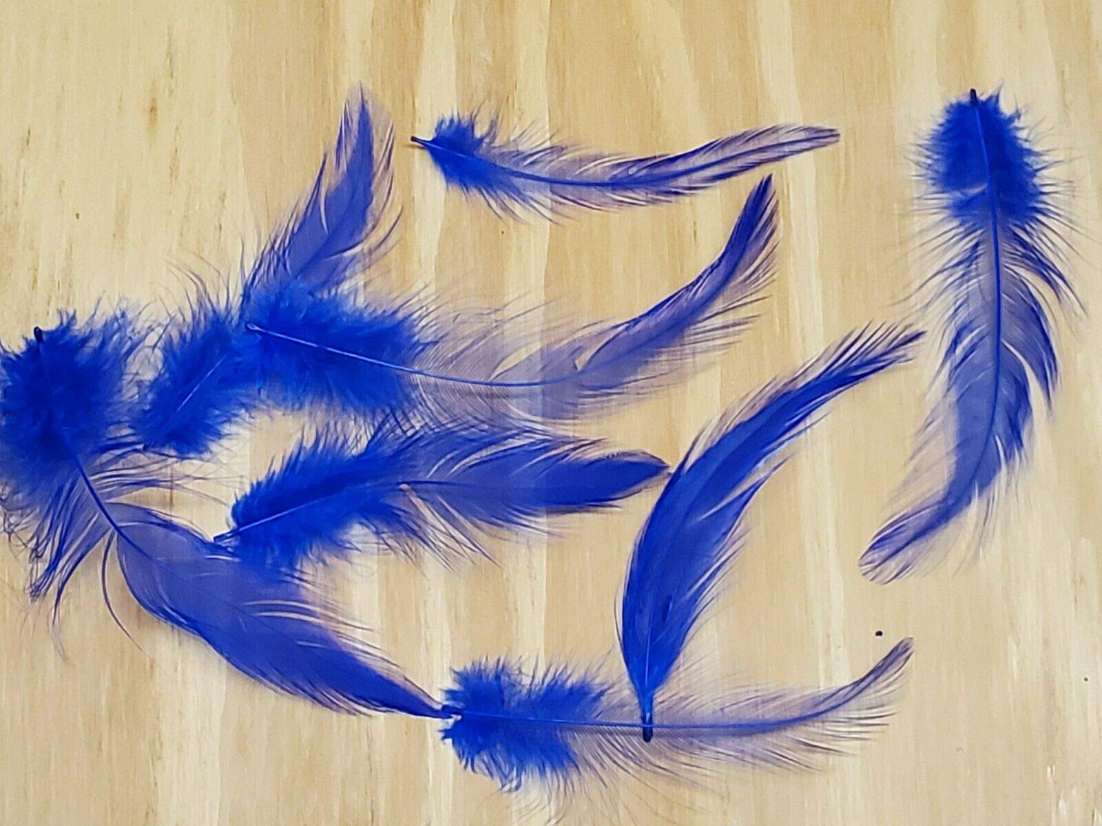1 Pack Tackle 1/2 oz Loose Neck Hackle 3-6" Feathers Fly JIG Tying Material Color Blue