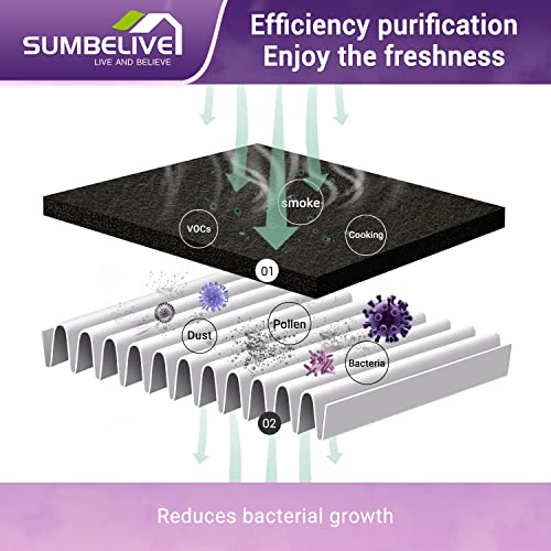 115115 replacement Filter for Winix Air Purifier C535 Filter A, 2 True HEPA(H13) Filter + 8 Activated Carbon Filters （2 Sets-A Total of 10）