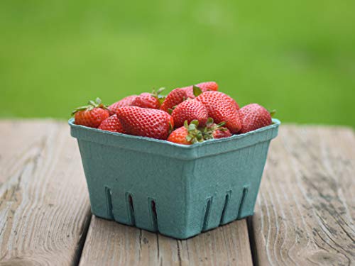 42 Pack QUART Green Molded Pulp Fiber Berry/Produce Vented Baskets for Fruit and Vegetable