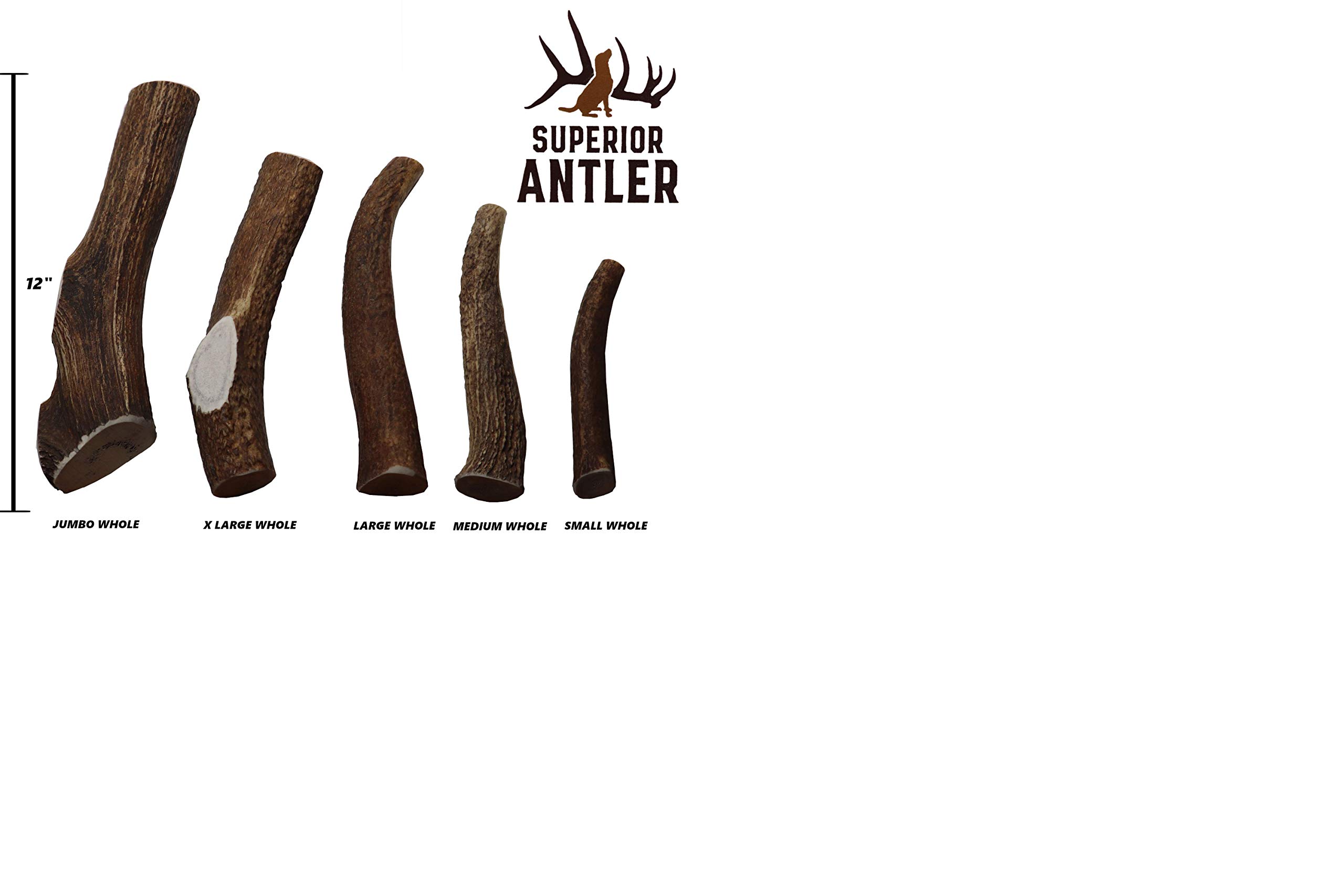 1-Small Whole Elk Antler–Single Pack. Premium Grade A. Antler Chew. L=4-7” Naturally shed, and Made in The USA. NO Odor. Guaranteed Satisfaction. for Dogs 10-25 LBS