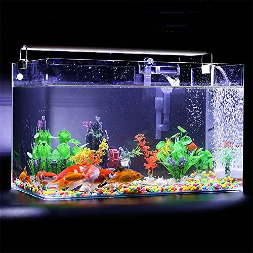 1 Gallon Aquarium Fish Tank,Rimless Aquarium Tank,7.8" L × 6.3" H × 5.5" W