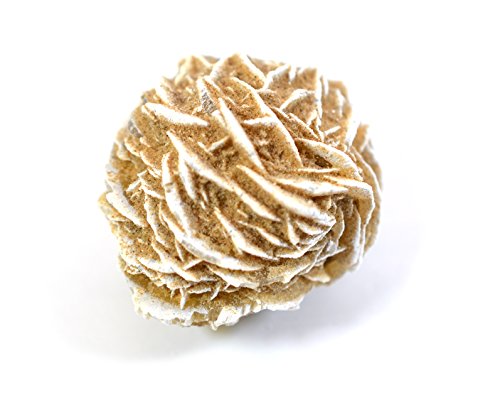 2" Desert Rose Specimen (Selenite), Single Piece