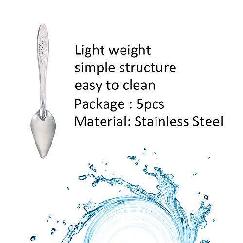 5 Pcs Bird Parrot Feeder Spoon Stainless Steel Milk Medicine Parrot Feeding Spoon for All Baby Bird Peony Cockatiel 4.7"