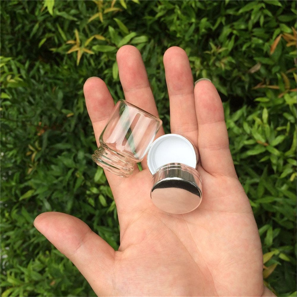 12units Glass Bottles Screw Top Empty Jars Vial 15ml Candy Vanilla Pill Food Perfume Bottle Metal Cap (12, 15ML-Silver Lid)