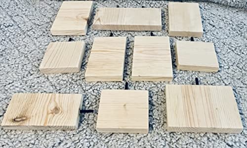 10 Piece Kiln Dried Pine Wood Ledges, Platfrom, Steps for Chinchillas, Rats, Birds and Caged Critters. Chinchilla Cage Accessories.