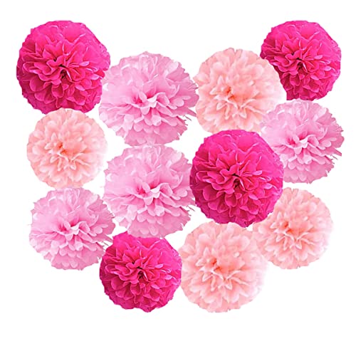 12pcs 8in 10in Pink Kit Paper Pom Poms Tissue Paper Flower Hanging Paper Flower Balls Wedding Party Flower Decorations DIY Art Craft Blooms for Birthday Baby Shower Nursery Decor