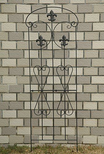 1. GO Metal Garden Trellis Panel Arch for Climbing Plants, 16" Wide x 60" High, OG-0033KD