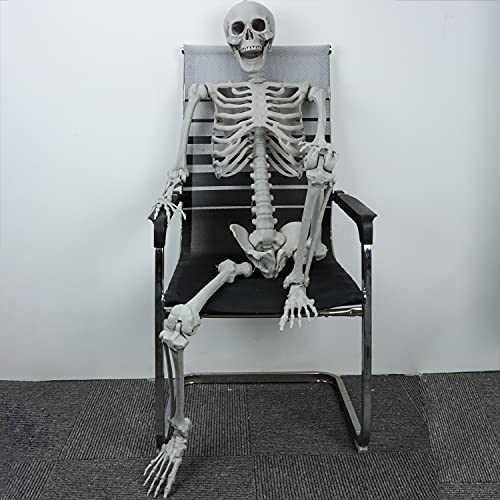 5.4ft/165cm Halloween Skeleton - Halloween Human Skeletons Full Body Bones with Movable Joints for Halloween Props Spooky Party Decoration