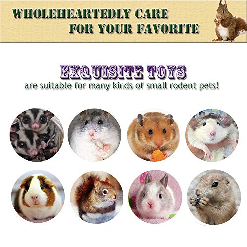 10 Pack Small Animal Combo Apple Wood Activity Toys, Hamsters Chew Toys, Rat Chinchilla Snacks Toys for Pets Organic Natural Accessories