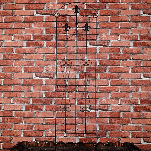 1. GO Metal Garden Trellis Panel Arch for Climbing Plants, 16" Wide x 60" High, OG-0033KD