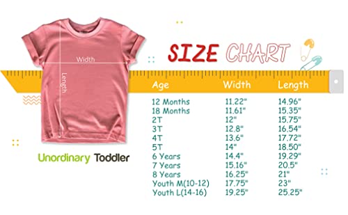 2nd Birthday Outfits for Toddler Girls im Two Cute Shirt Girl 2 Year olds Second (Mauve, 2 Years)